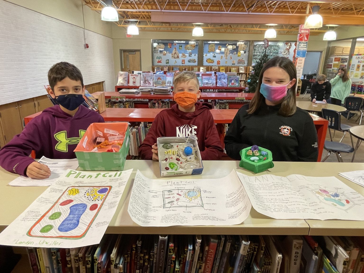 Sixth Grade Cell Models 2020 – Fort Calhoun Community Schools