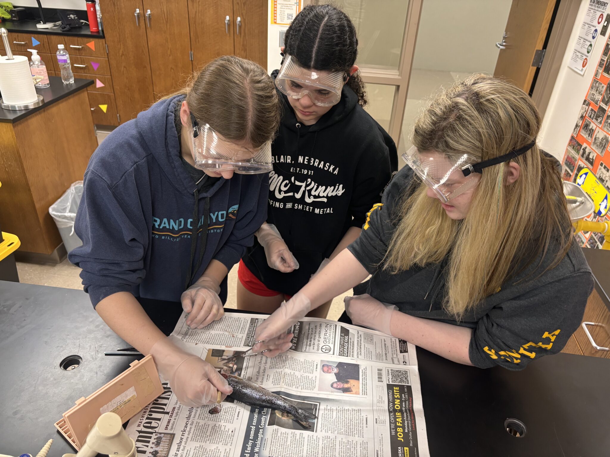 Biology Class Dissect Trout – Fort Calhoun Community Schools